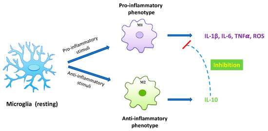 T1AM/TAAR1 System Reduces Inflammatory Response and β-Amyloid Toxicity ...