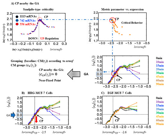 Synchronization between Attractors: Genomic Mechanism of Cell-Fate Change