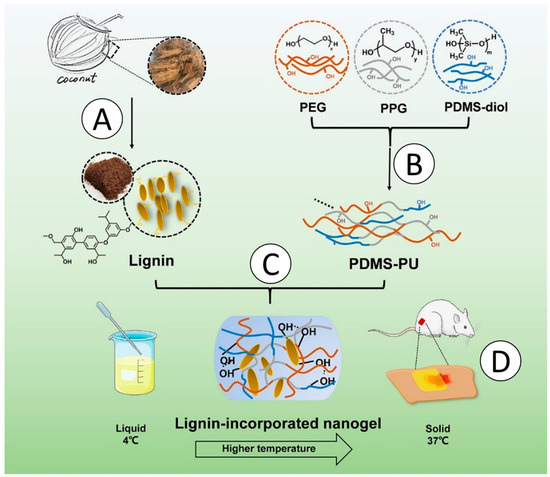 Lignin, the Lignification Process, and Advanced, Lignin-Based Materials