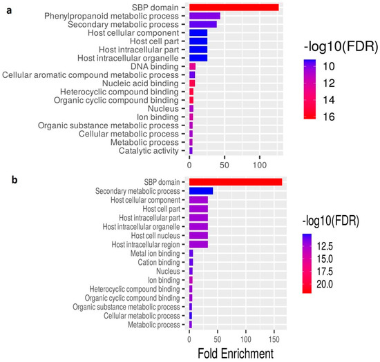 Pokkali: A Naturally Evolved Salt-Tolerant Rice Shows a Distinguished ...