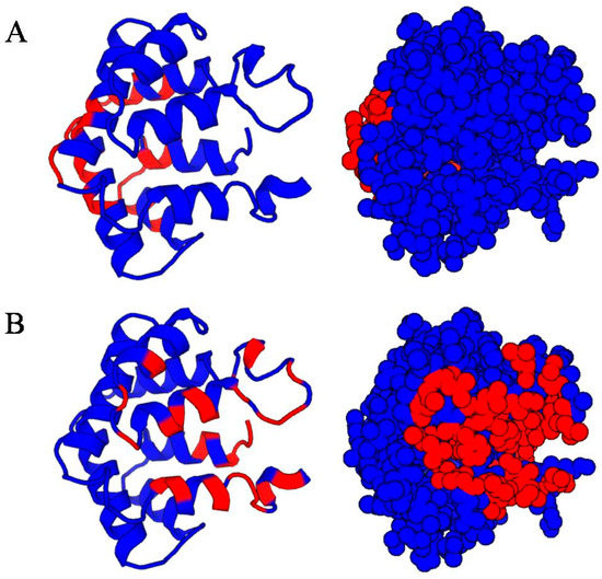 Impact of Semiochemicals Binding to Fel d 1 on Its 3D Conformation and ...