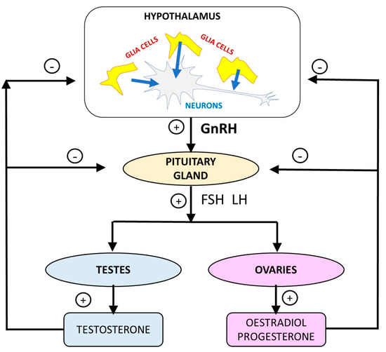 Investigation of the Effects of Metallic Nanoparticles on Fertility Outcomes and Endocrine ...