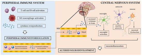 Peripheral Inflammatory Markers in Autism Spectrum Disorder and ...