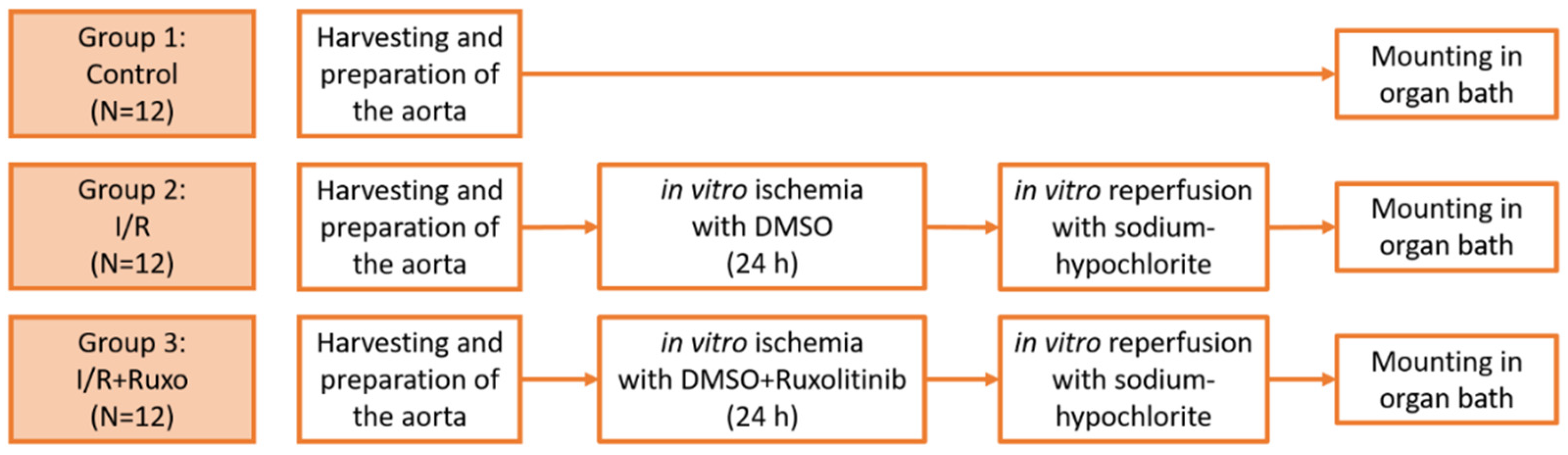 Ijms Free Full Text Sex Specific Protection Of Endothelial Function