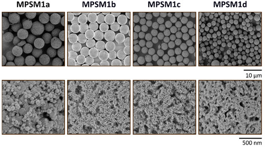 Tailoring the Morphology of Monodisperse Mesoporous Silica Particles ...