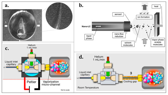 IJMS | Free Full-Text | NanoLC-EI-MS: Perspectives in Biochemical Analysis
