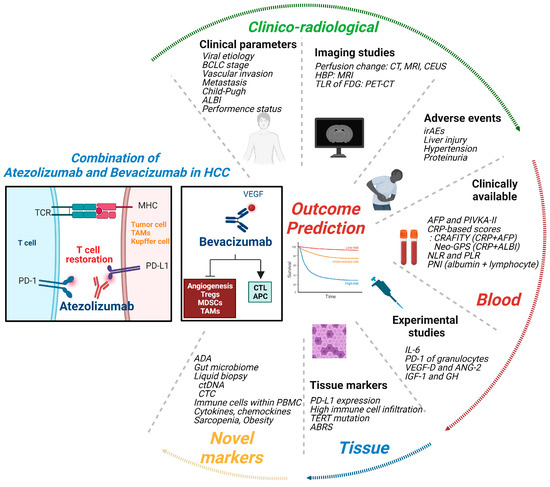 Predicting Outcomes of Atezolizumab and Bevacizumab Treatment in ...