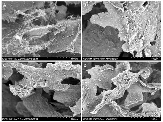 Nanocellulose Sponges Containing Antibacterial Basil Extract