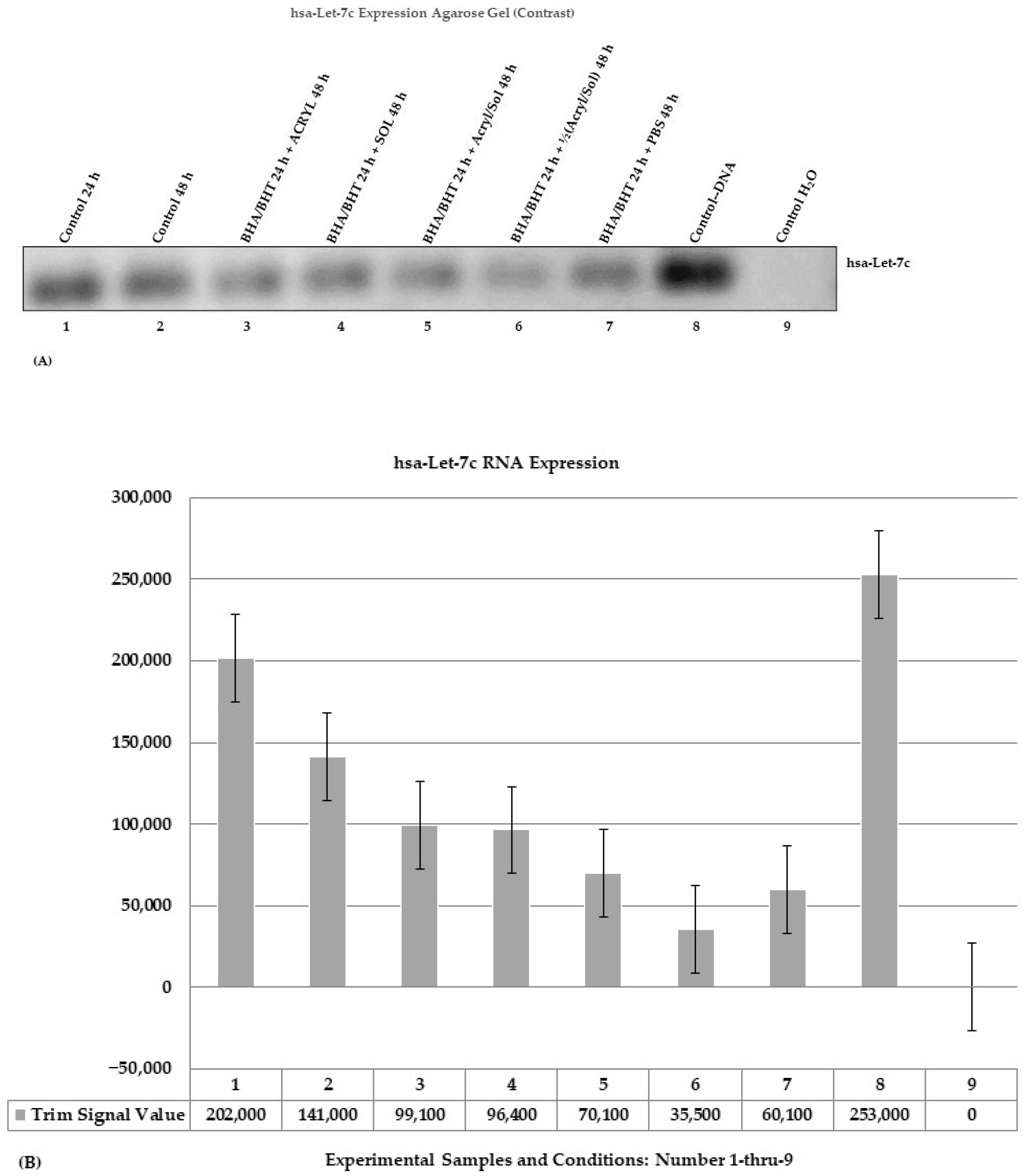 Ijms | Free Full-text | Antioxidants Amelioration Is Insufficient To