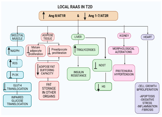 The Relationship between Renin–Angiotensin–Aldosterone System (RAAS ...