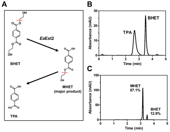 Structural and Biochemical Insights into Bis(2-hydroxyethyl ...