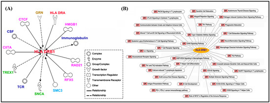 Effects of Human Leukocyte Antigen DRB1 Genetic Polymorphism on Anti ...