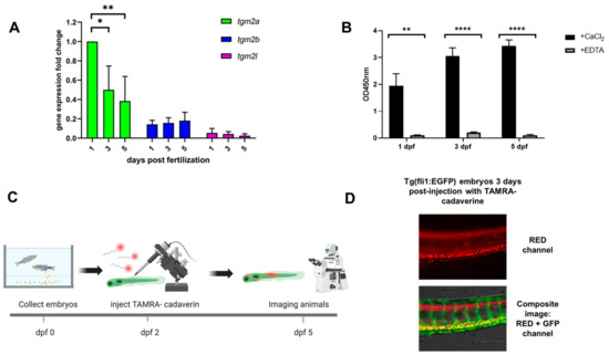 Biochemical and Functional Characterization of the Three Zebrafish ...
