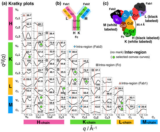 Cue to Acid-Induced Long-Range Conformational Changes in an Antibody ...