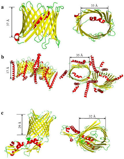 Gating of β-Barrel Protein Pores, Porins, and Channels: An Old Problem ...