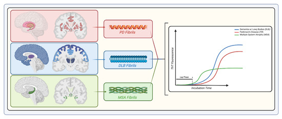 α-Synuclein Strains and Their Relevance to Parkinson’s Disease ...