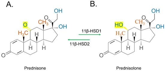 Glucocorticoid Treatment in Acute Respiratory Distress Syndrome: An ...