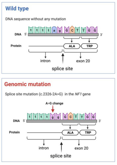 Superimposed Mosaicism in the Form of Extremely Extended Segmental ...