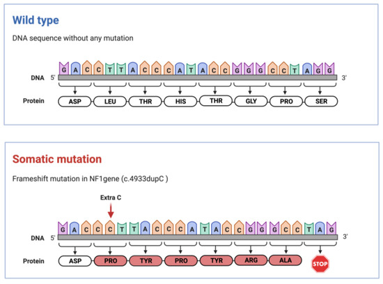 Superimposed Mosaicism in the Form of Extremely Extended Segmental ...