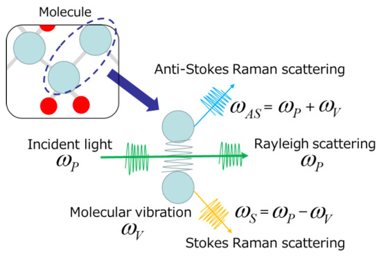 Practices, Potential, and Perspectives for Detecting Predisease Using ...