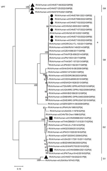 Surveillance of Human Rotaviruses in Wuhan, China (2019–2022): Whole ...