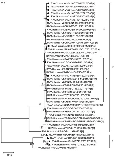 Surveillance of Human Rotaviruses in Wuhan, China (2019–2022): Whole ...
