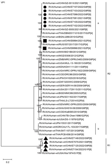 Surveillance of Human Rotaviruses in Wuhan, China (2019–2022): Whole ...