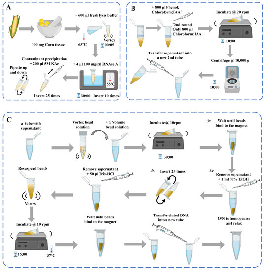 Research Progress of Nucleic Acid Detection Technology for Genetically ...