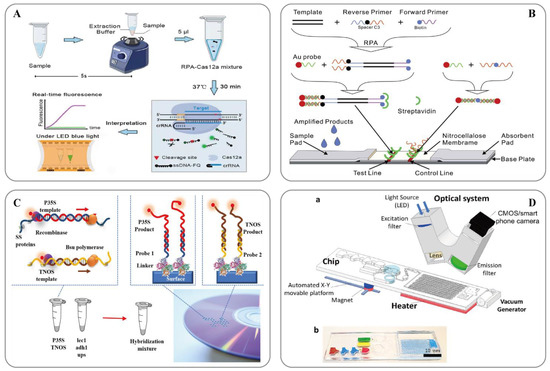 Research Progress of Nucleic Acid Detection Technology for Genetically ...