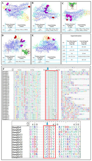 In Silico Characterisation of the Aedes aegypti Gustatory Receptors
