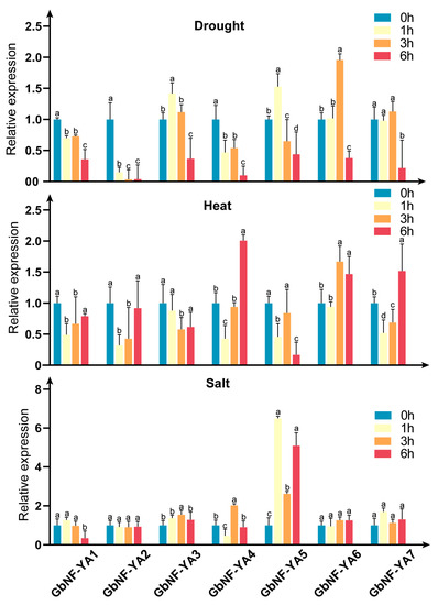 Genome-Wide Identification, Characterization, and Expression Analysis ...
