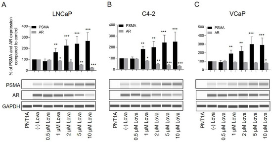 Improved Prostate-Specific Membrane Antigen (PSMA) Stimulation Using a ...