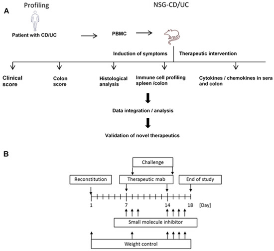 Humanized NSG Mouse Models as a Preclinical Tool for Translational ...