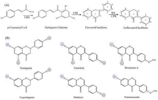 Protein Modelling Highlighted Key Catalytic Sites Involved in Position ...