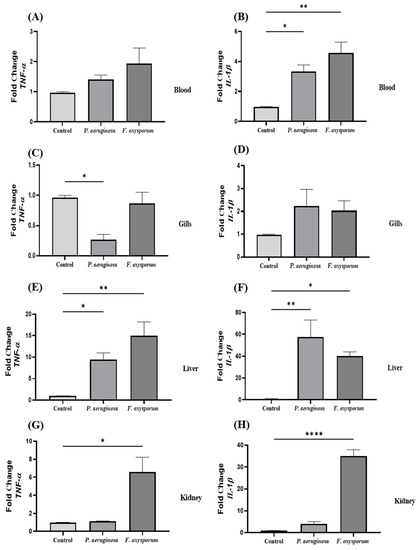 A Comparative Analysis on the Innate Immune Responses of Cirrhinus ...