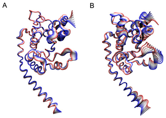 Deciphering the Broad Antimicrobial Activity of Melaleuca alternifolia ...