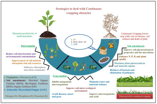 A Systematic Review on the Continuous Cropping Obstacles and Control Strategies in Medicinal Plants