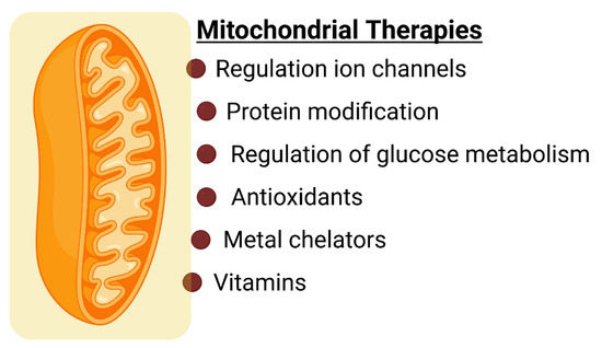 Exploring Molecular Targets for Mitochondrial Therapies in ...