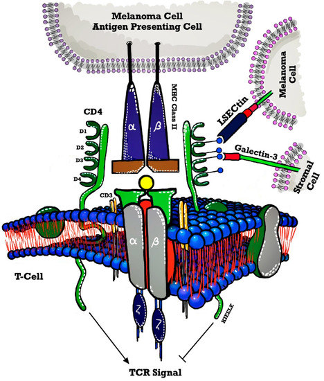 Role of Next Generation Immune Checkpoint Inhibitor (ICI) Therapy in ...