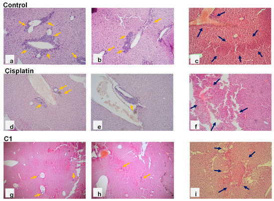 Docking Studies, Cytotoxicity Evaluation and Interactions of Binuclear ...