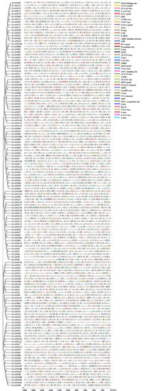 Genome-Wide Identification and Expression Analysis of ANS Family in ...