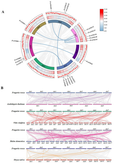 Genome-Wide Identification and Expression Analysis of ANS Family in ...