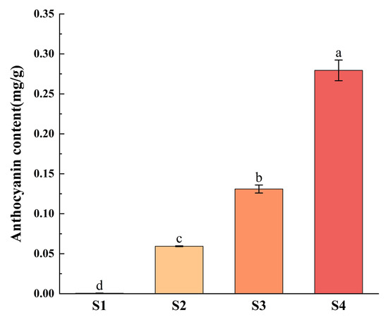 Genome-Wide Identification and Expression Analysis of ANS Family in ...