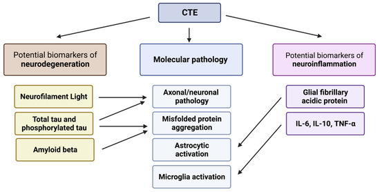 Blood-Based Biomarkers in the Diagnosis of Chronic Traumatic ...