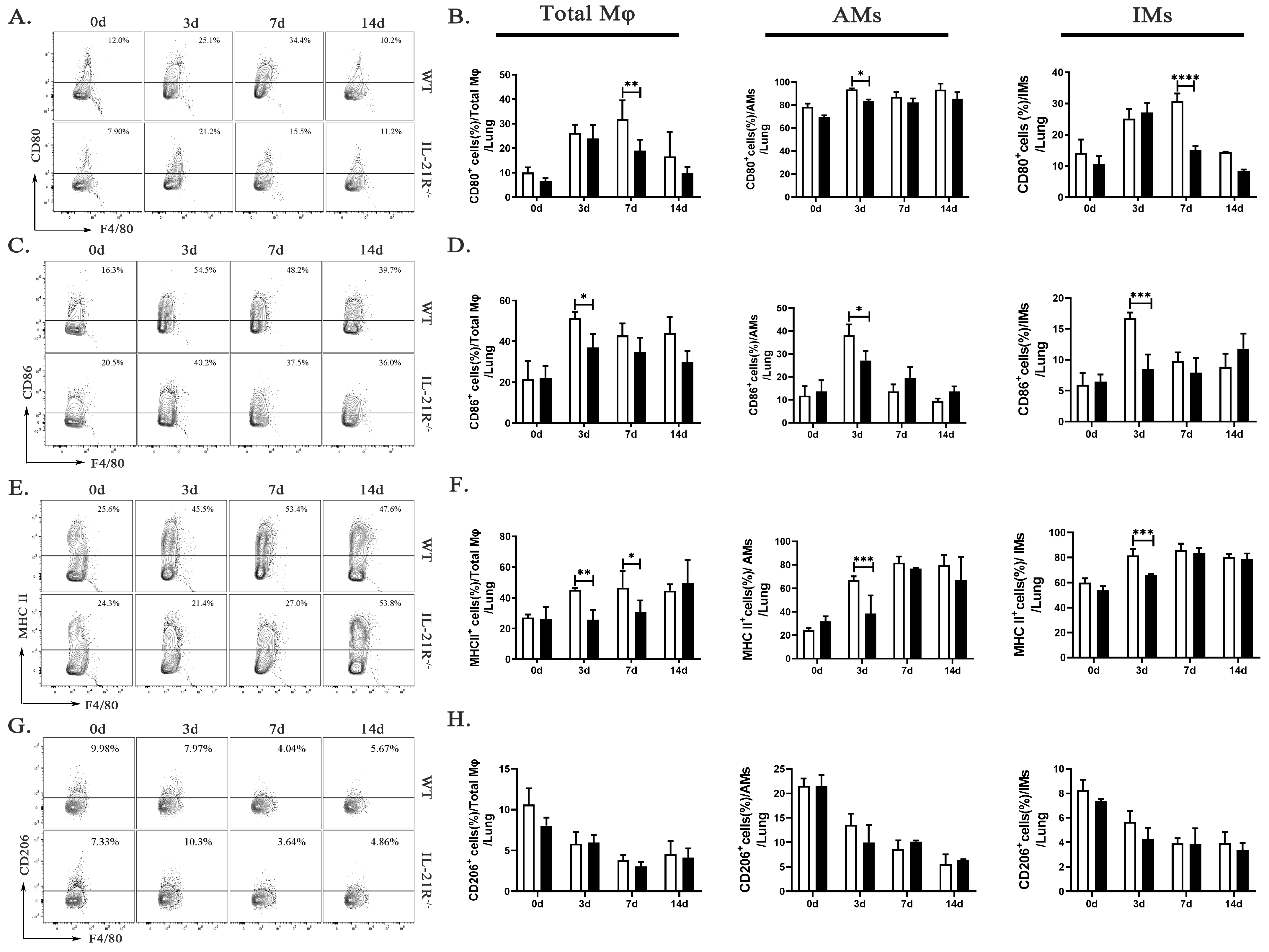 IL-21/IL-21R Promotes the Pro-Inflammatory Effects of Macrophages ...