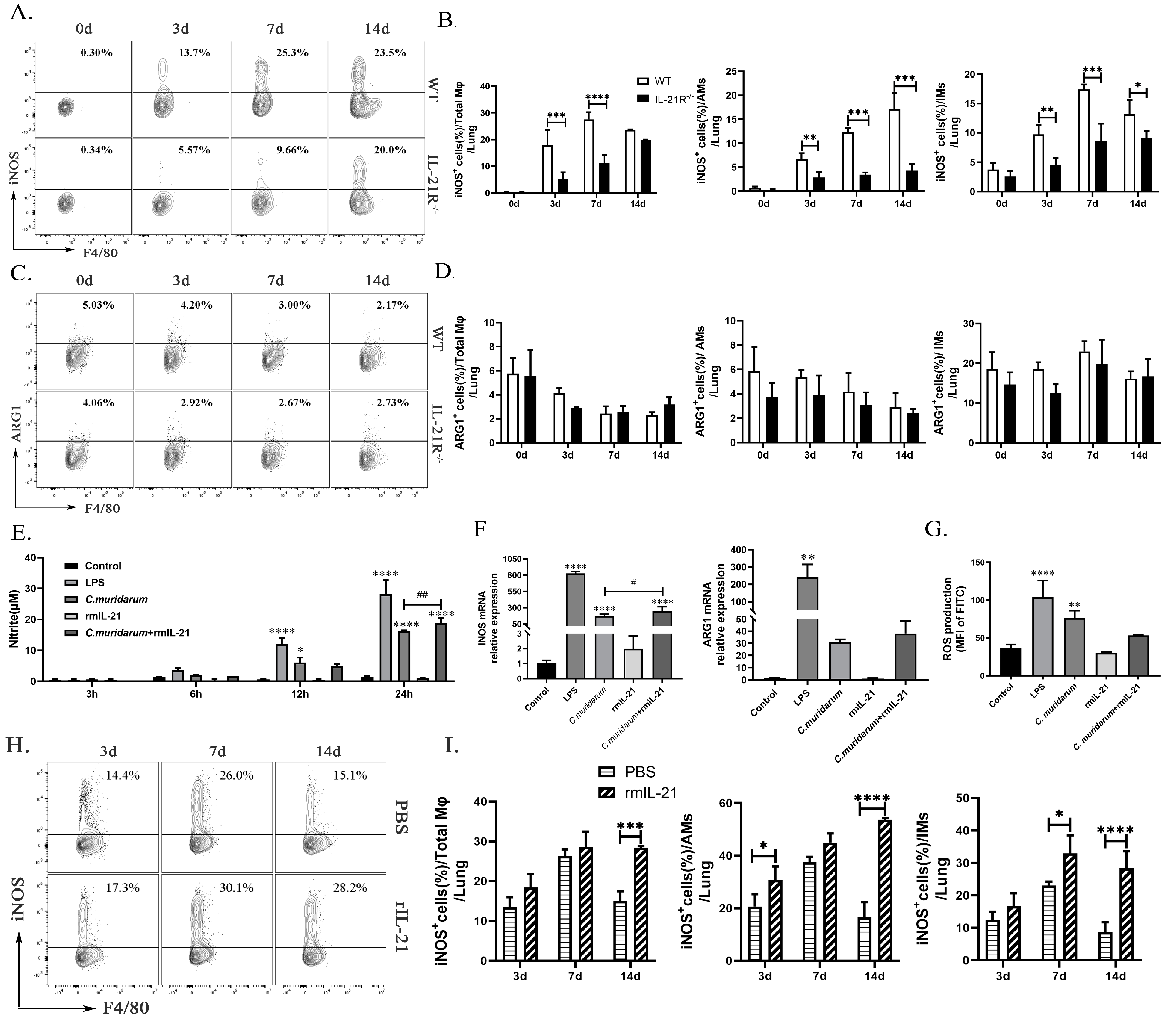 IL-21/IL-21R Promotes the Pro-Inflammatory Effects of Macrophages ...