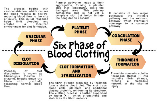 The Crossroads of the Coagulation System and the Immune System: Interactions and Connections