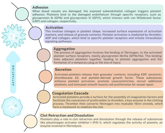 The Crossroads of the Coagulation System and the Immune System: Interactions and Connections