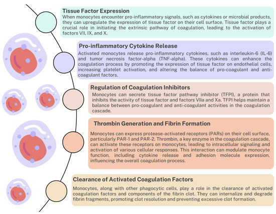 The Crossroads of the Coagulation System and the Immune System: Interactions and Connections