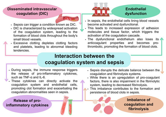 The Crossroads of the Coagulation System and the Immune System: Interactions and Connections